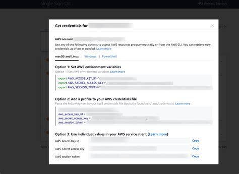 Github Foch Aws Get Variable Env