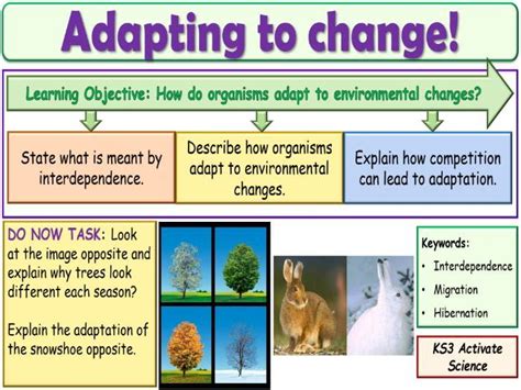 Variation Aqa Activate 1 Ks3 Science Bundle Teaching Resources