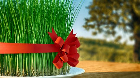 Samani 3d 3d Model Cgtrader