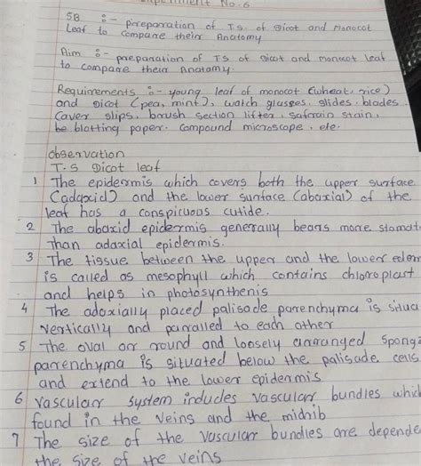 5 B Preparation Of Ts Of Dicot And Monocot Leaf To Compare Their Ana
