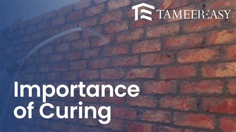 Curing How To Carry Out This Crucial Process Tameereasy