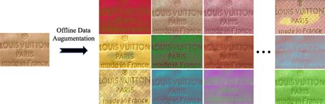 An Example Of The Offline Data Augmentation Download Scientific Diagram