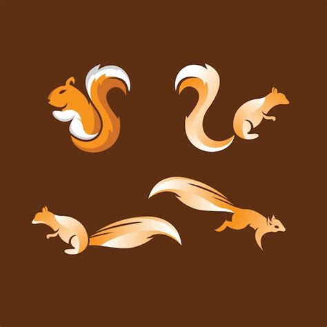 Premium Vector Squirrel Logo Ideas