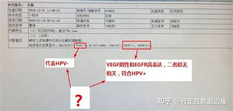 2013 Egfr、vegf和notch1的表达提示hpv阳性和hpv阴性头颈部鳞状细胞癌中肿瘤血管生成的差异 知乎