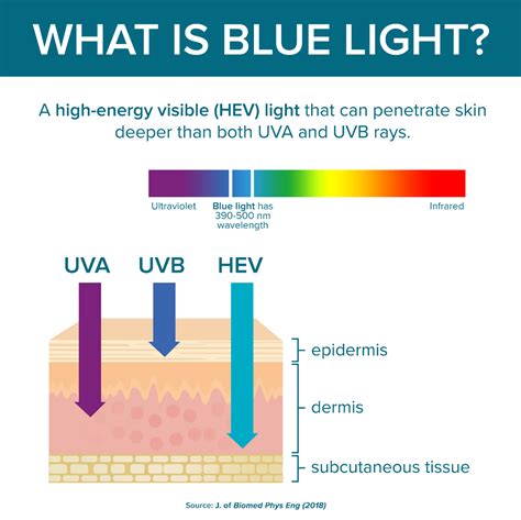 Can Visible Light Cause Skin Cancer At Harry Oloughlin Blog