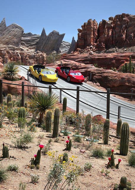 Cars Land Disneyland Rides