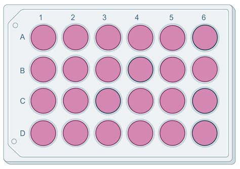 Viral Growth Curves Nc Dna Day Blog