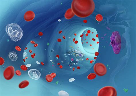 Clinical Use Of Immature Platelets In The Management Of