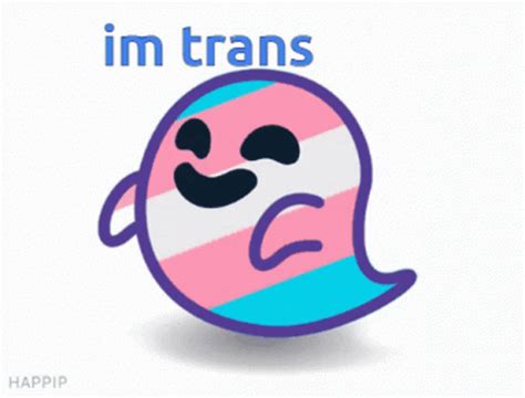 Trans Transgender Flag  Trans Transgender Flag Transgender