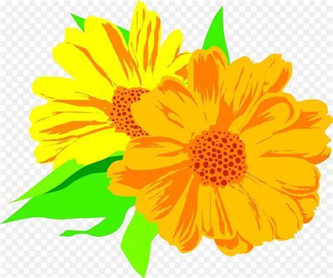 手绘菊花png图片素材下载图片编号qwwmdmbe 免抠素材网