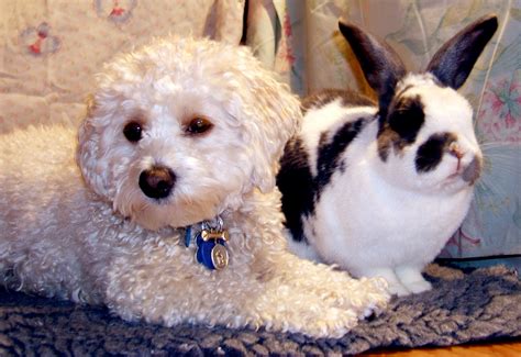 Tracee De Hahn On The Road Day 6 Of Book Tour Had A Great