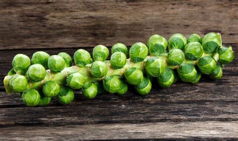 Brussels Sprouts On The Stalk How To Prepare Cook And Enjoy — Hitchcock Farms