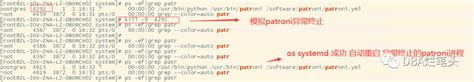 postgresql patroni exporter 监控 patroni高可用工具 patroni监控指标 csdn博客