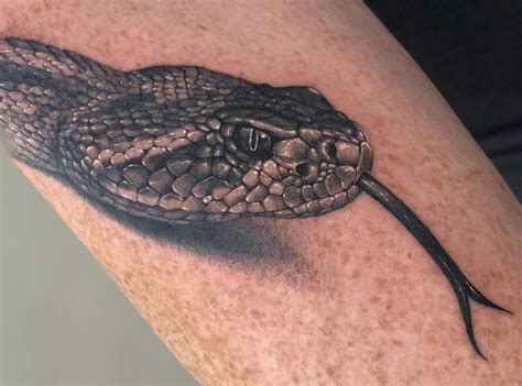 11 Rattlesnake Tattoo Ideas Rattlesnake Tattoo Rattlesnake Snake Tattoo