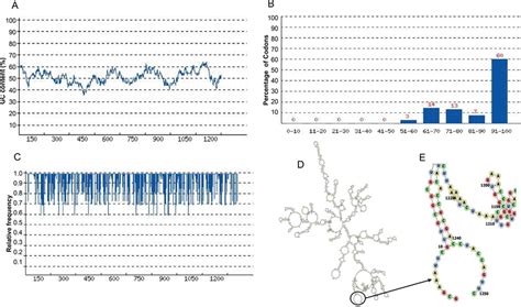 Codon Optimization And Mrna Structure Of Cov Rmen Gene For Expression