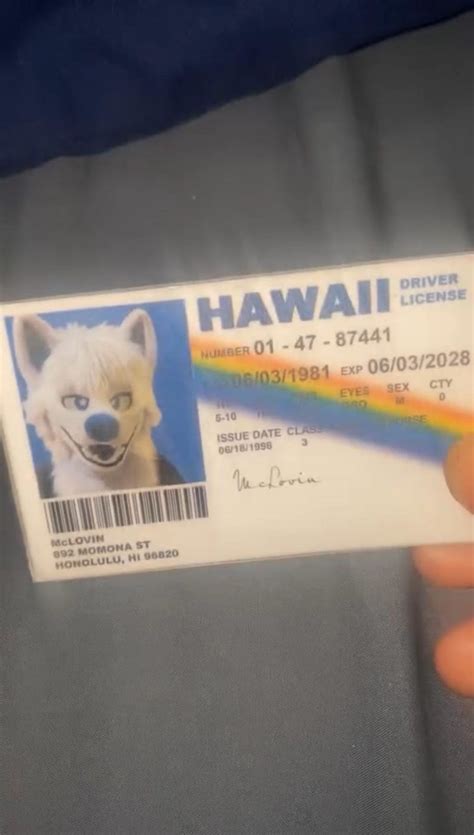 Custom Replica Fursona Mclovin Id Badges Open Etsy