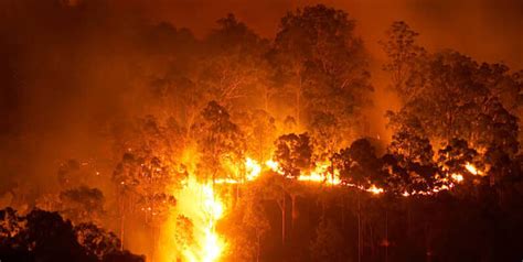 Forest Fire Dataset Kaggle