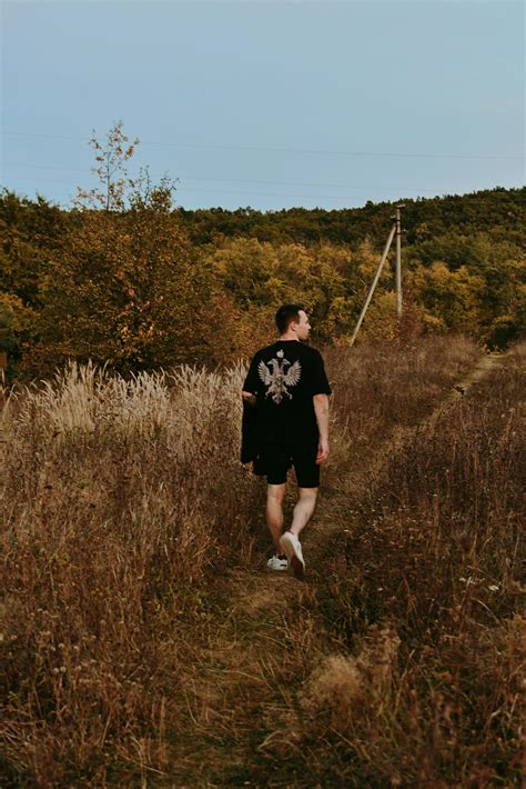 Eagle Landscape Photos Download The Best Free Eagle Landscape Stock