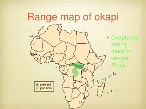 Ppt The Okapi Powerpoint Presentation Id7063204