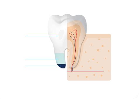 What Is Tooth Enamel Sensodyne