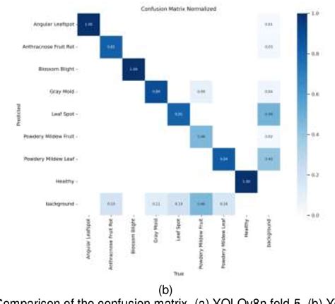 Figure 6 From Strawberry Disease Detection Based On Yolov8 And K Fold