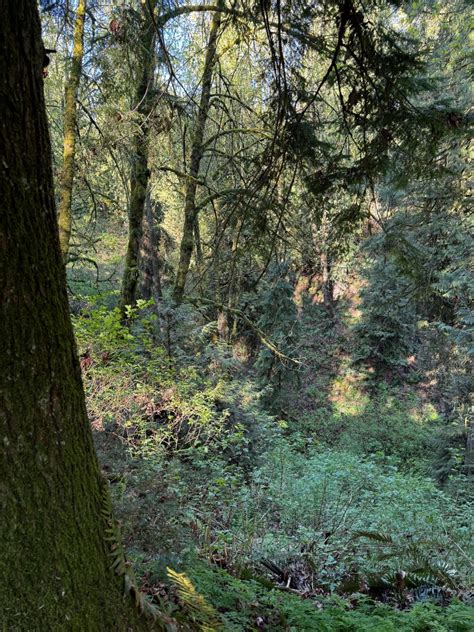 Nature Kenley Neufeld