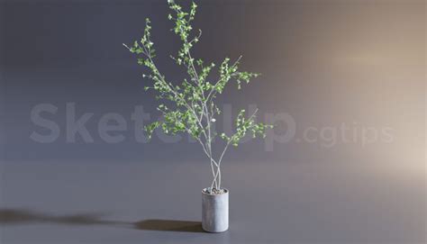 9219 Free Sketchup Plant Model Download Sketchup Models For Free