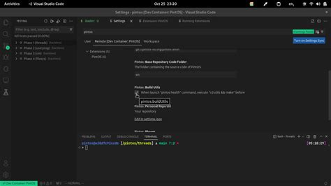 Verificar La Salud Del Proyecto Pintos Utils