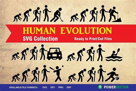 Human Evolution Svg Collection This Set Of Cute And Adorable Human