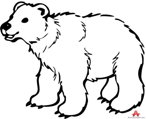 Bear Outline Drawing At Getdrawings Free Download