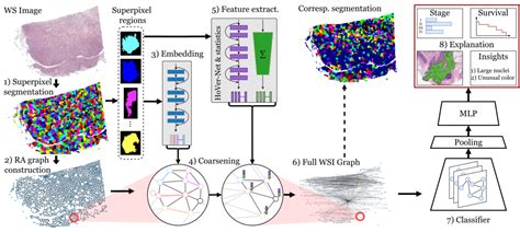논문 리뷰 From Pixels To Histopathology A Graph Based Framework For