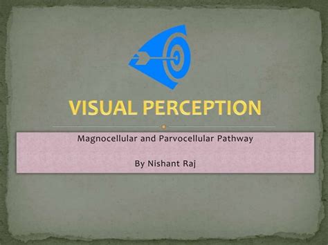 Visual Perception Pptx