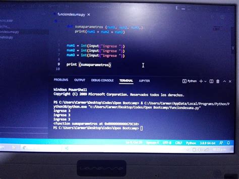 Python Code Not Printing Output Function With Parameters Python