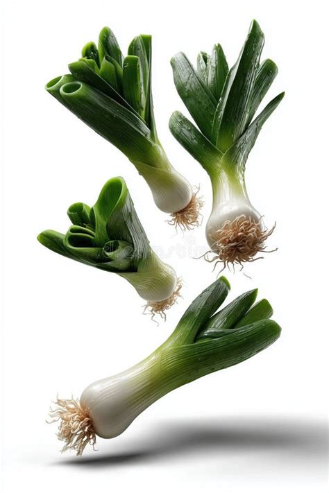 Four Whole Leeks Floating In Mid Air On White Stock Illustration