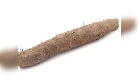 The Kand Mool Fruit That Lord Ram Ate During Exile Is A Storehouse Of Benefits