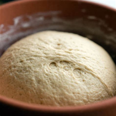 Freshly Kneaded Dough Rising In A Bowl Showing Its Airy Texture And
