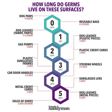 How Long Does E Coli Last On Surfaces Infrared For Health