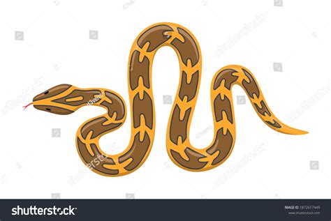 Top 197 Cartooning Of An Image Using Python