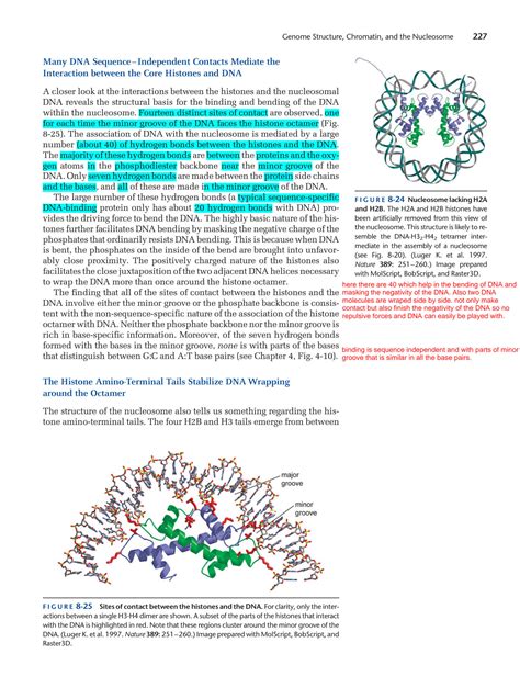 Solution Nucleosome Structure Part 2 Studypool