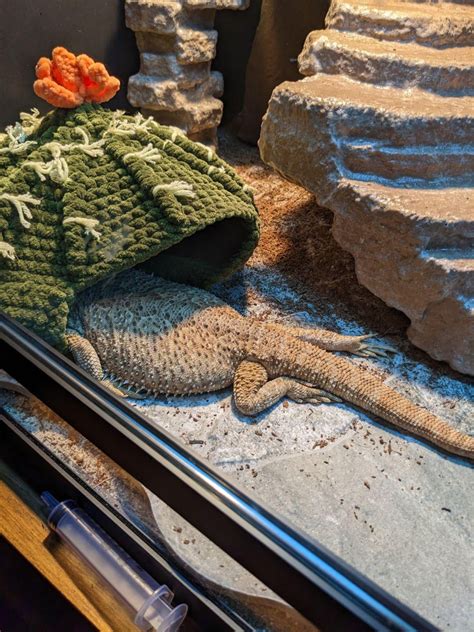 She Almost Made It R Drunkbeardies