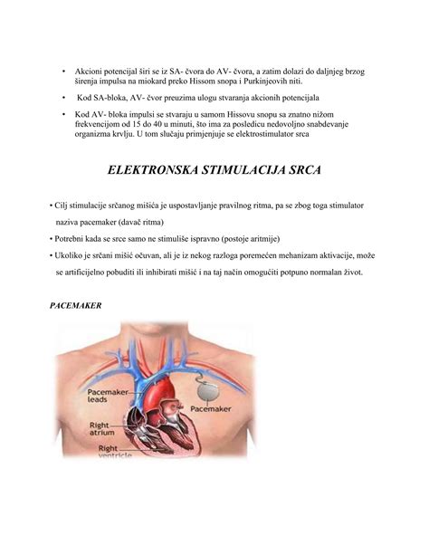 Elektricna Stimulacija Srca Docx