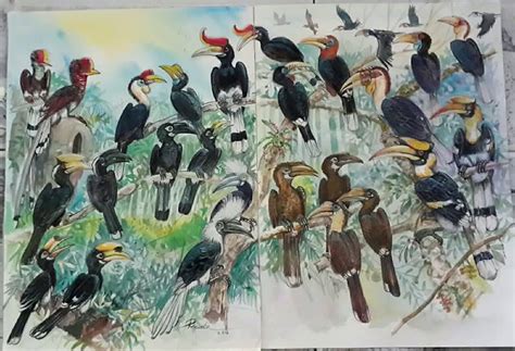 Preeda Budo ทบทวนอีกครั้งกับภาพนกเงือกในประเทศไทยและอาหาร