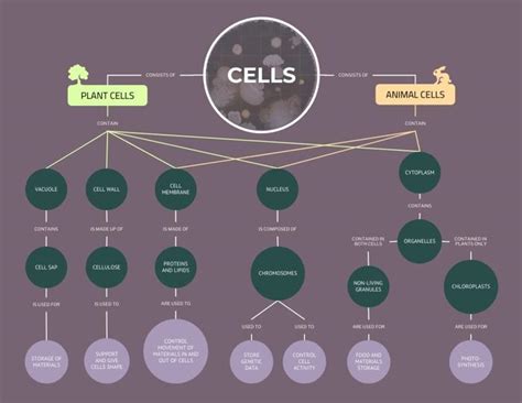 Create A Flowchart Concept Mapwith A Following Words