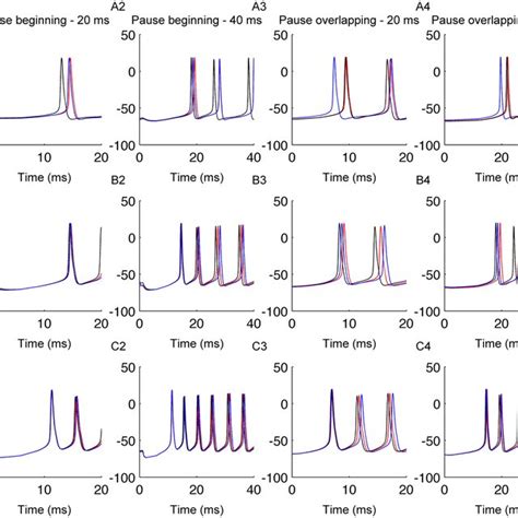Cn Neurons Firing Pattern In Response To Synaptic Inputs Firing