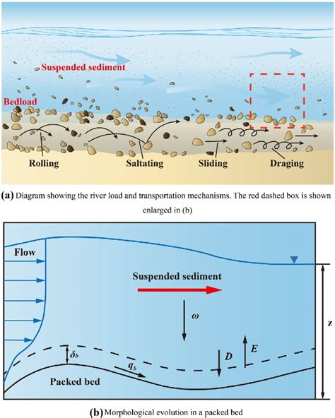 River Sediment Transport