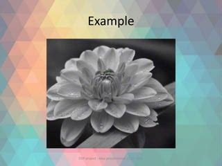 DCT Image Compression PPTX Digital Audio Computer Software And Applications