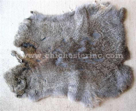 Rabbit Skin Pictures Trading Post Natural Grade From Chichester