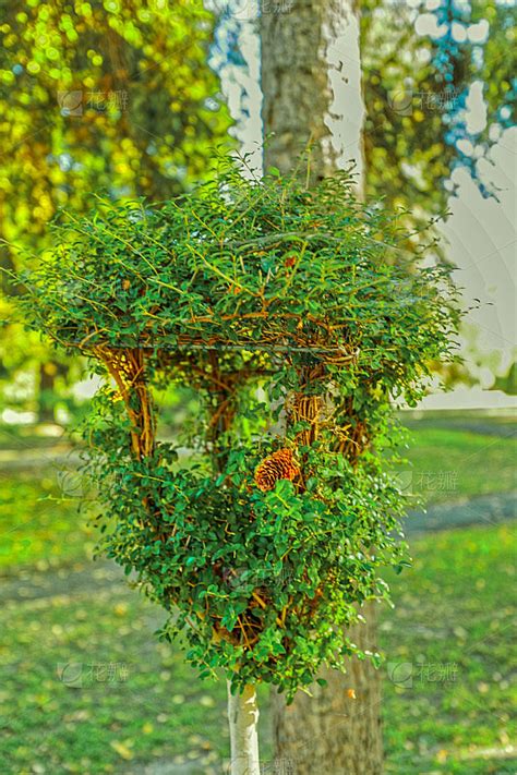 公园树上的鸟屋