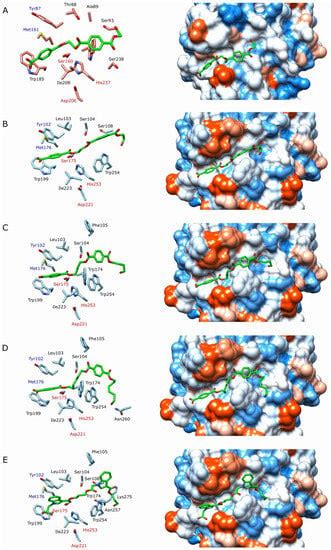 Marine Pet Hydrolase Pet2 Assessment Of Terephthalate And Indole