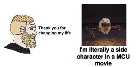 Floor Is My Favorite Mcu Character Of All Time R Marvelmemes